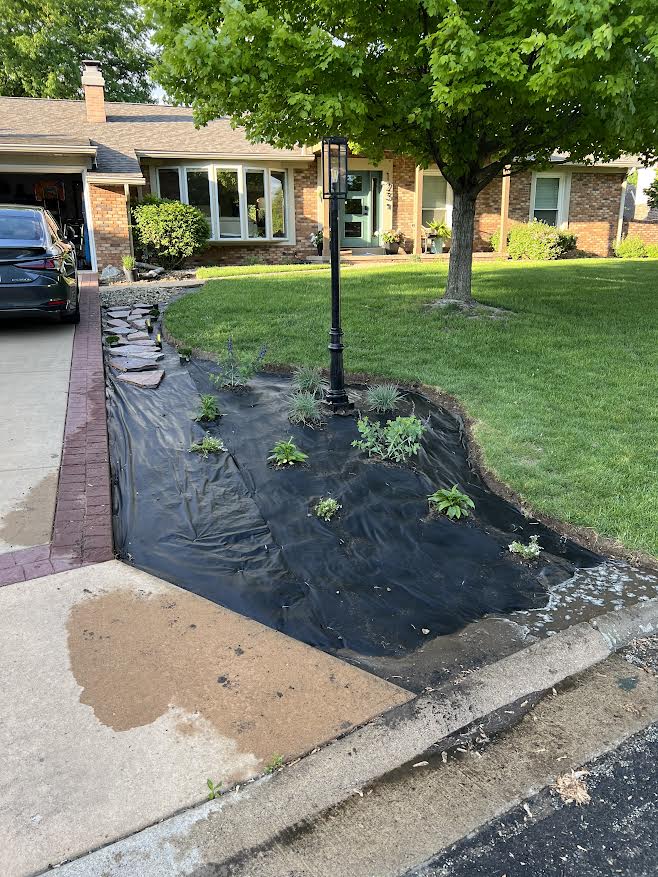 Diamond Cut Lawn Care | Lawn Care Peoria, IL